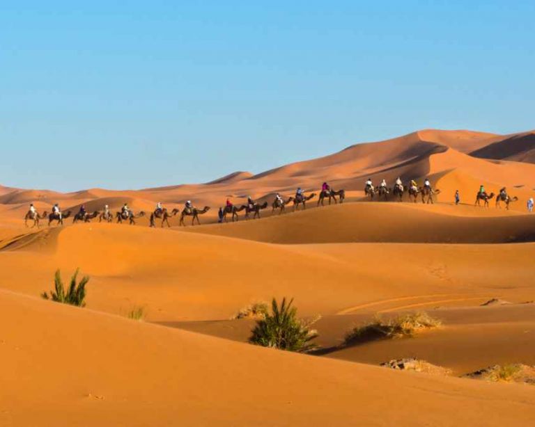 Go Marruecos Tours - RUTA 5 DIAS FEZ-MERZOUGA-FEZ